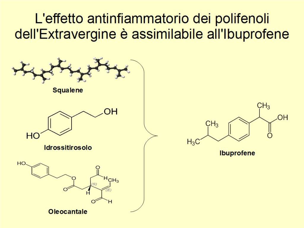 I polifenoli dell'Extravergine ostacolano la genesi delle malattie ...